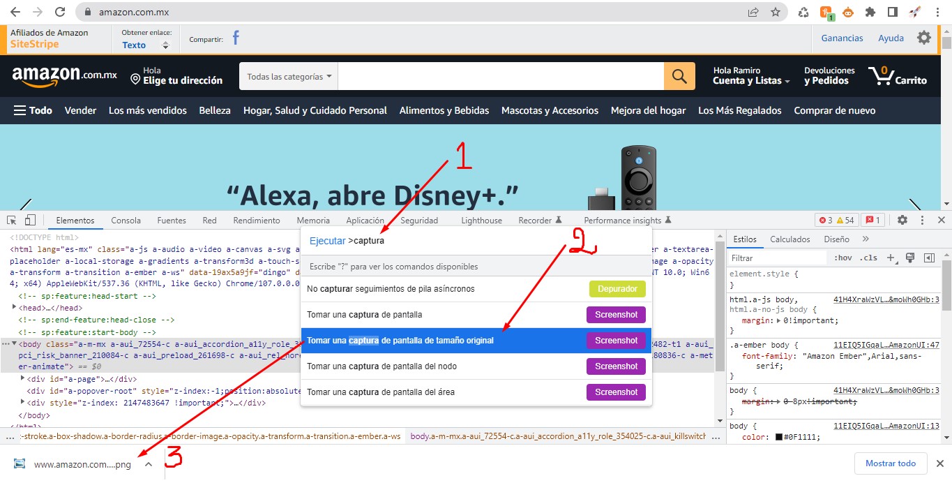 Capturar página Web completa online 【 Gratis